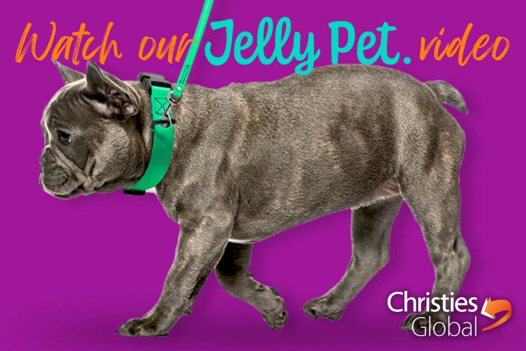 Jelly Pet – Christies Global